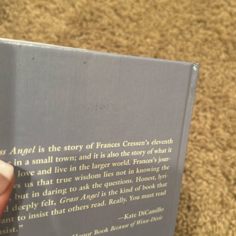 Grass Angel by Julie Schumacher