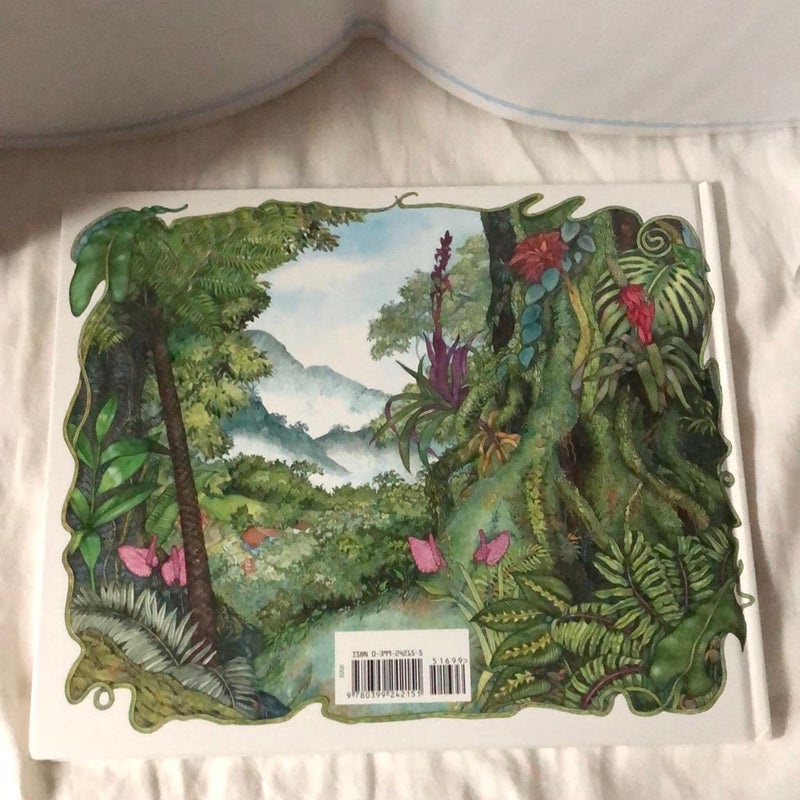 The Umbrella by Jan Brett