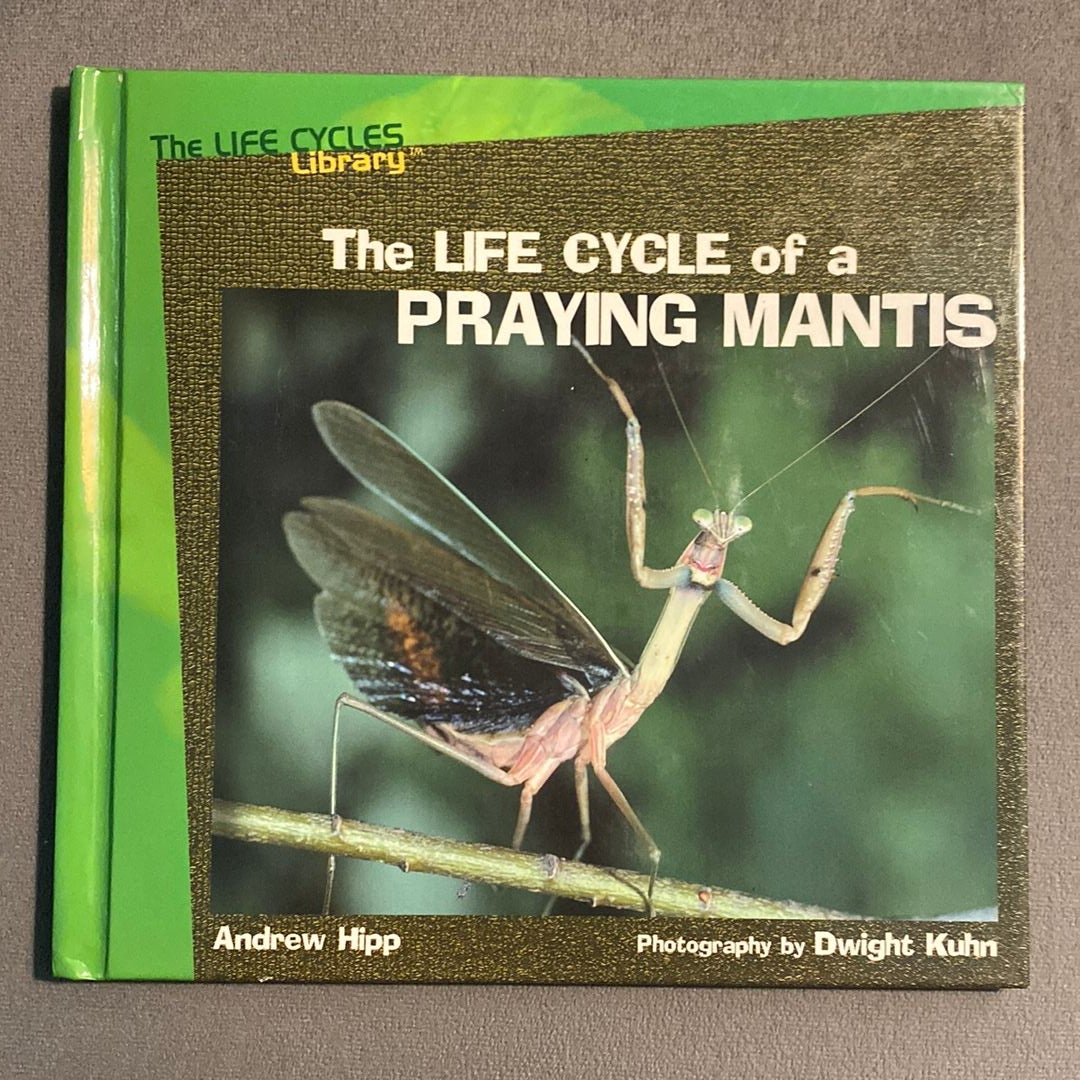 The Life Cycle of a Praying Mantis by Andrew Hipp