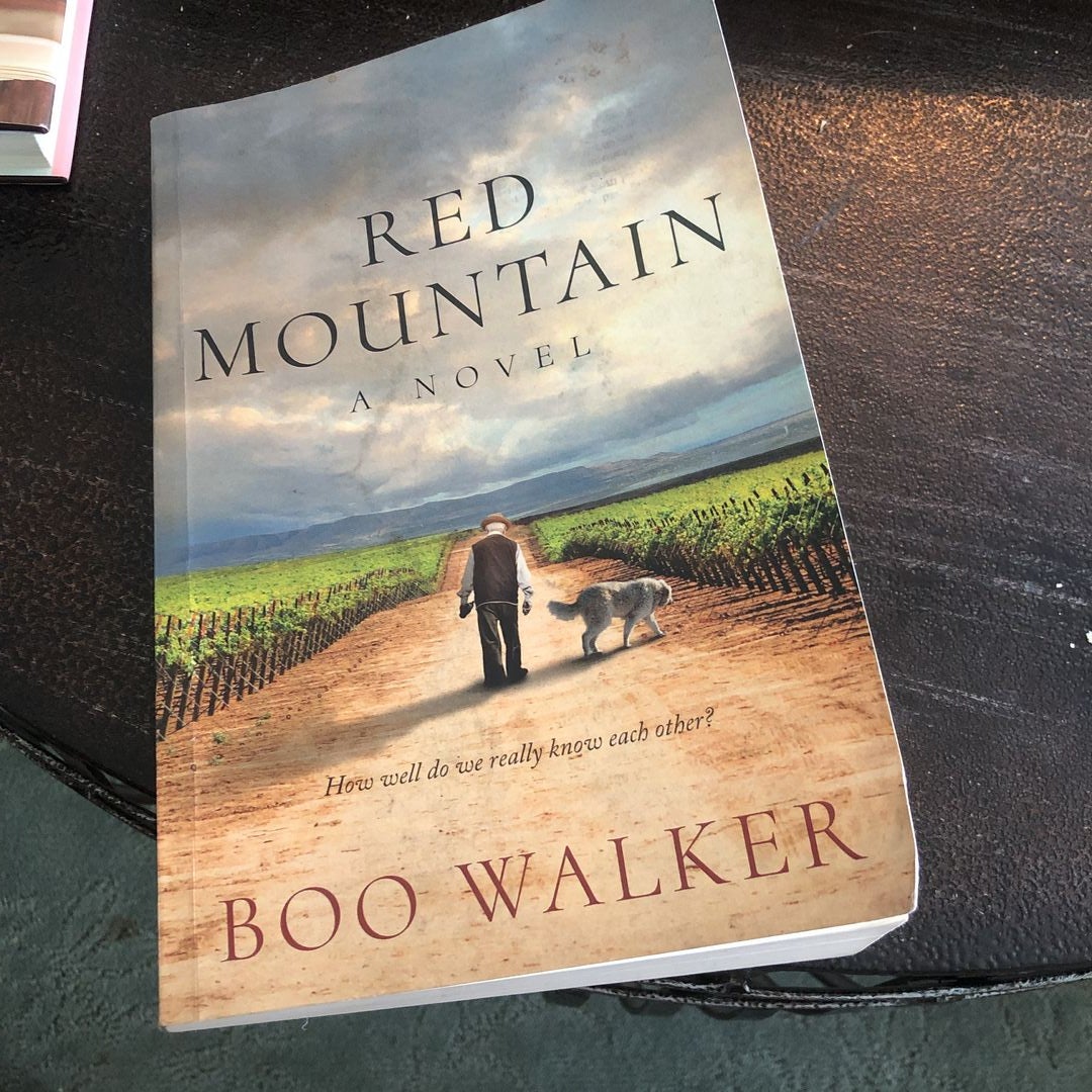 Red Mountain by Boo Walker