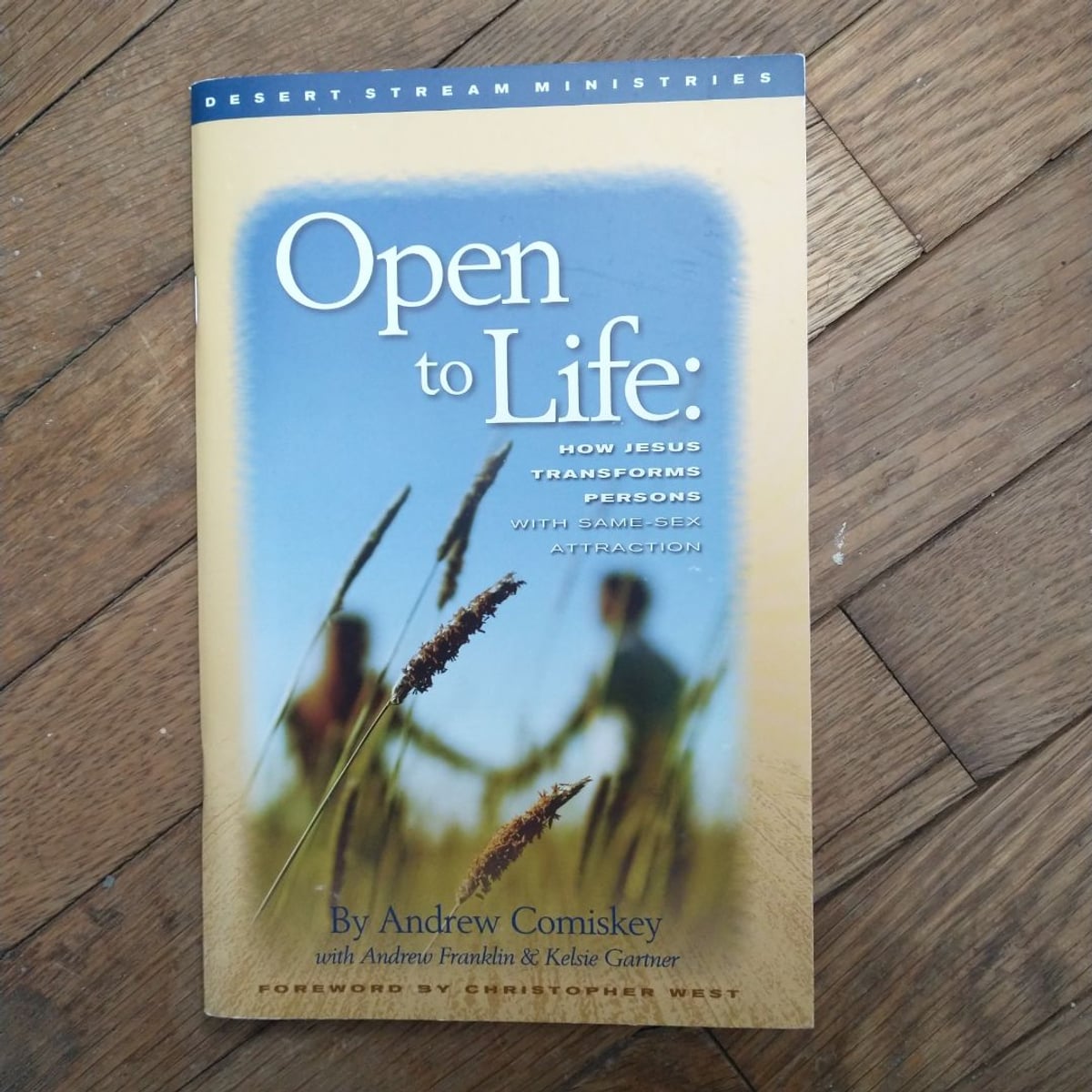 Open to Life: How Jesus Transforms Persons with Same-sex Attraction by ...
