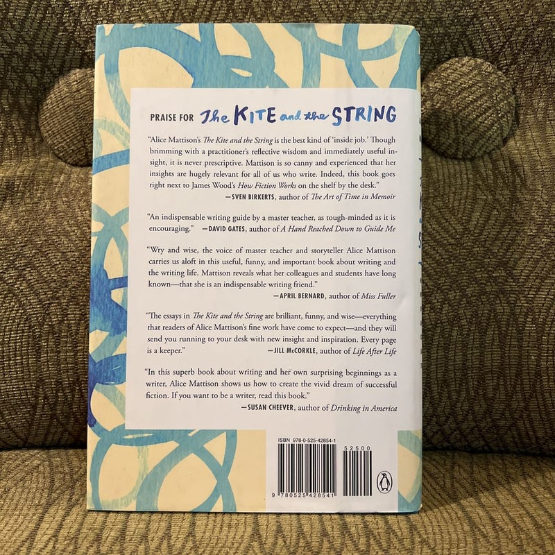 The Kite and the String by Alice Mattison