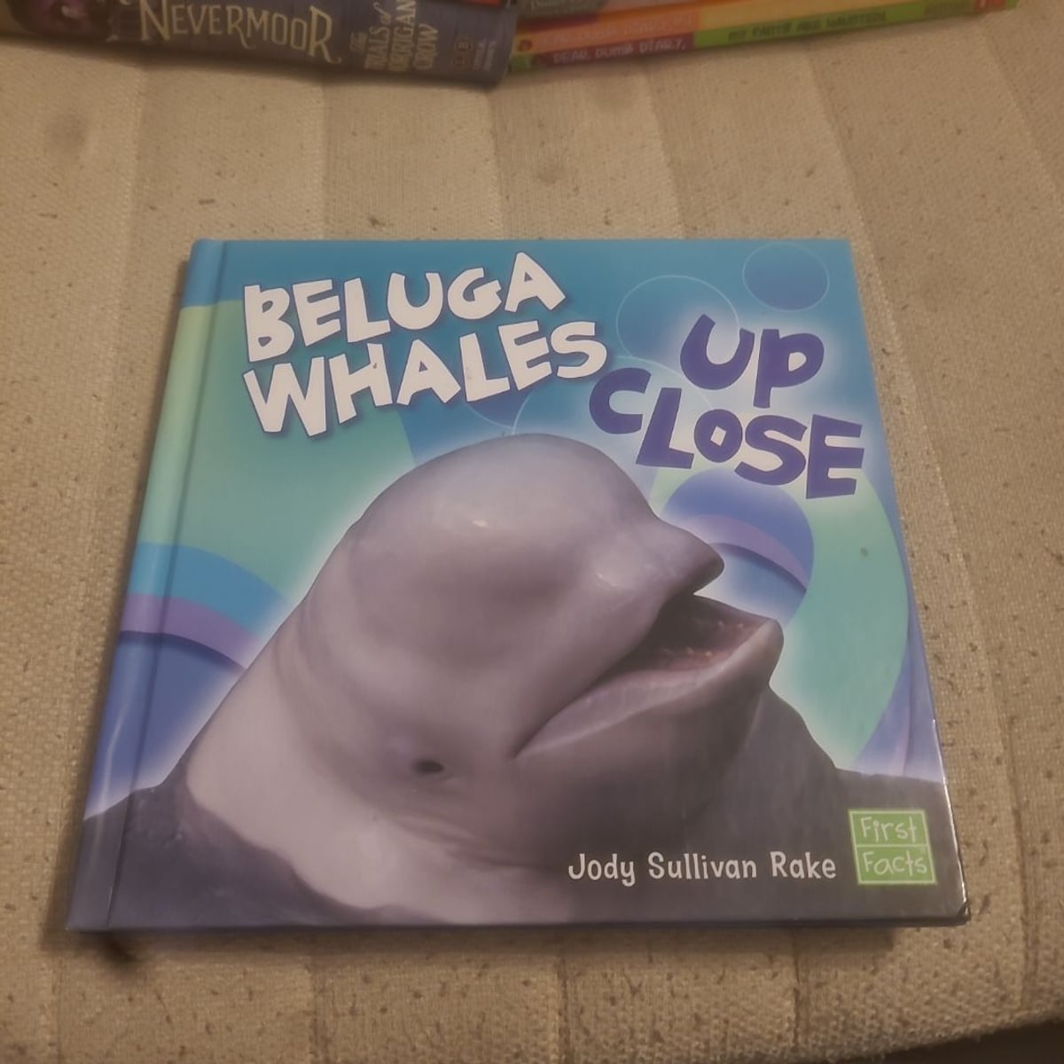 Beluga Whales up Close by Jody S. Rake