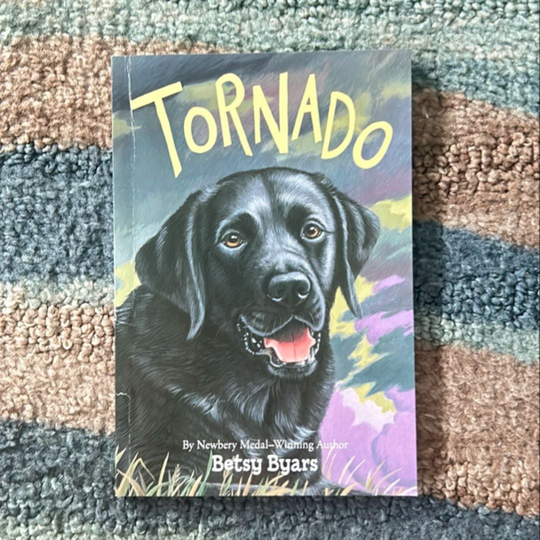 Tornado by Betsy Byars