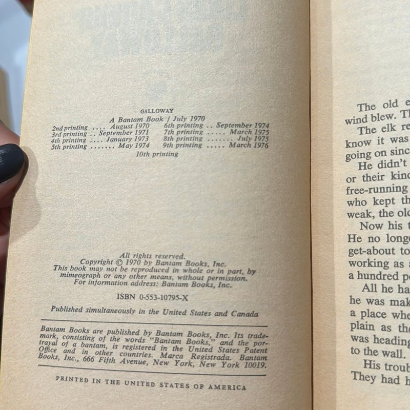 Galloway by Louis L’Amour, Paperback | Pangobooks