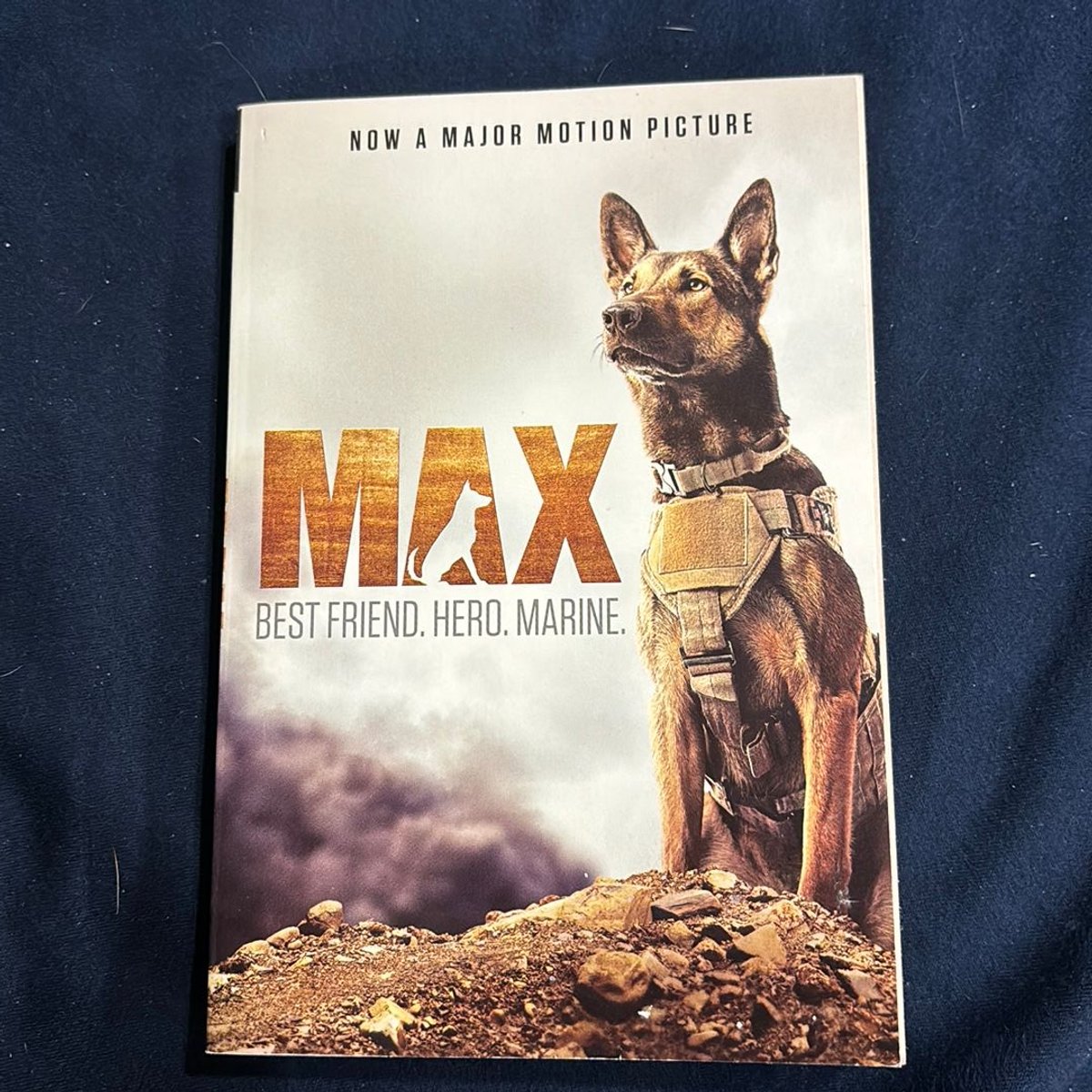 Max: Best Friend. Hero. Marine by Jennifer Li Shotz