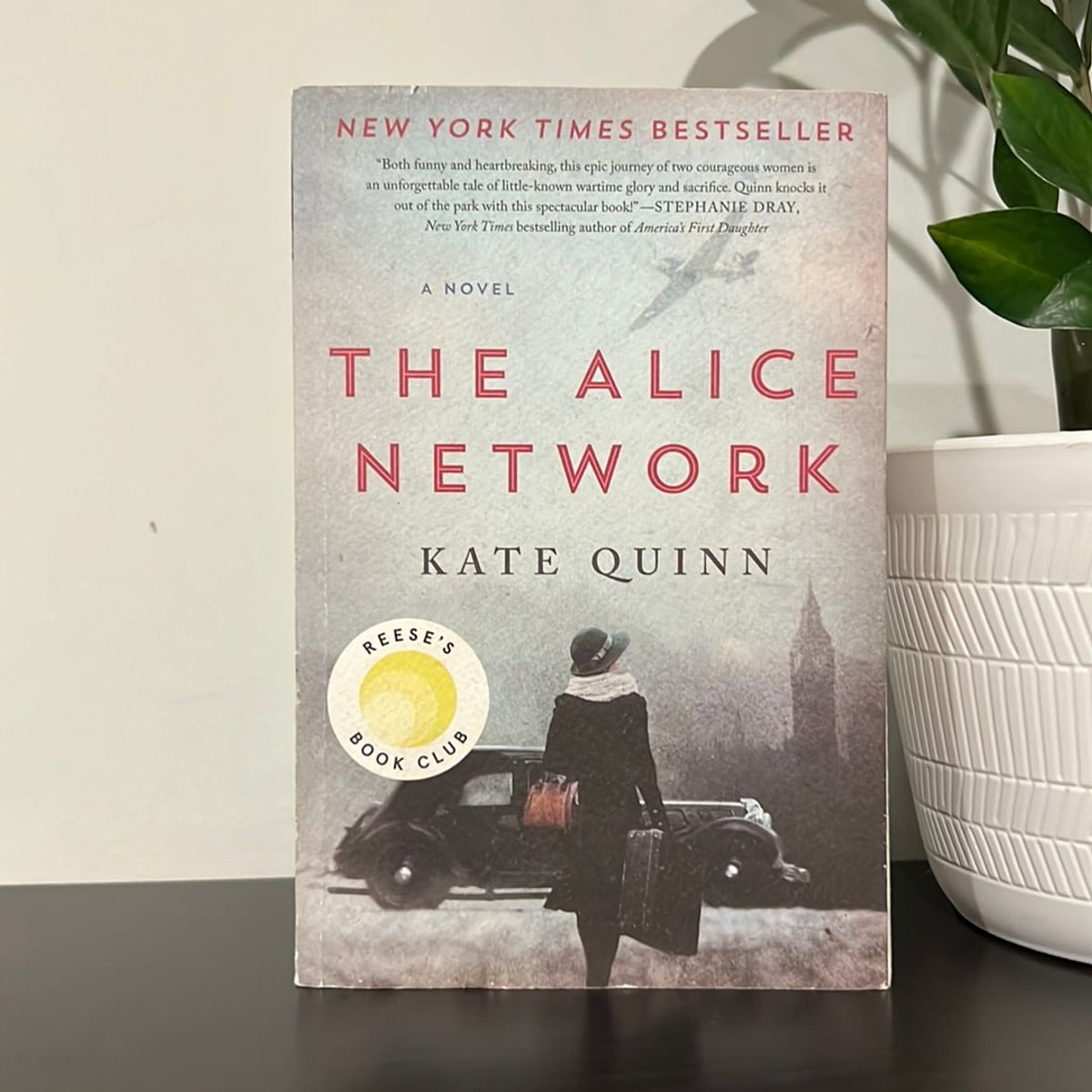 The Alice Network by Kate Quinn, Paperback | Pangobooks
