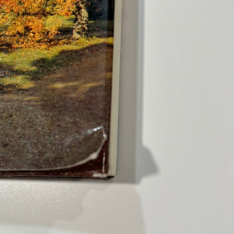 Trees for Your Garden by Roy Lancaster