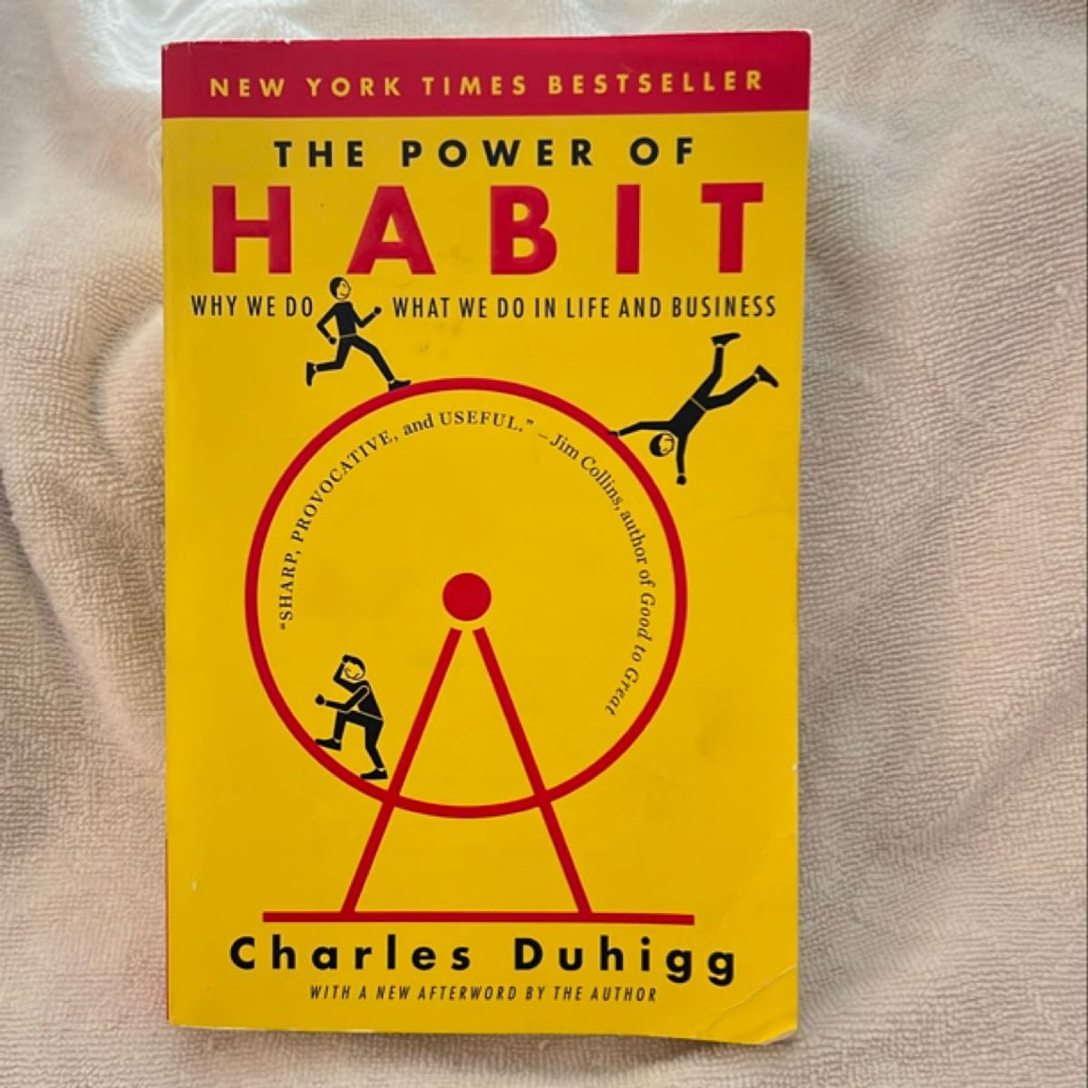 The Power of Habit by Charles Duhigg, Paperback | Pangobooks