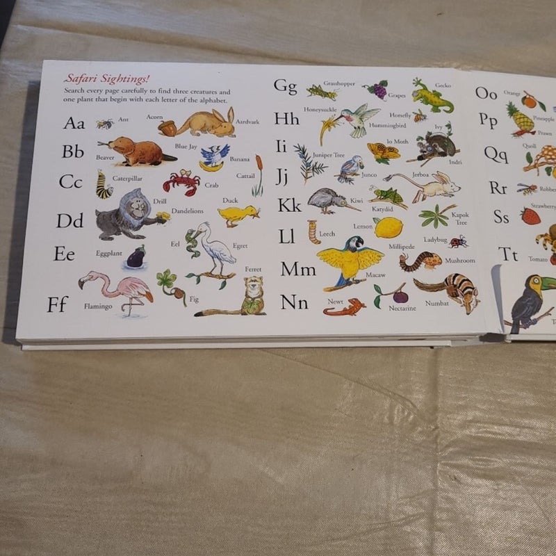 Alphabet by Matthew Van Fleet