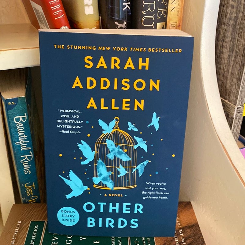 Other Birds by Sarah Addison Allen, Paperback | Pangobooks