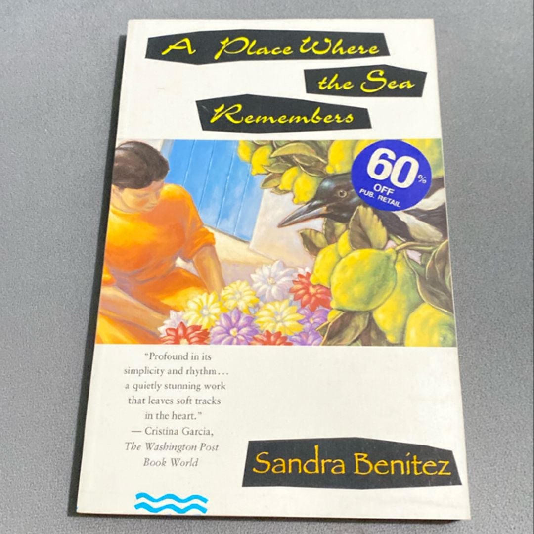 Place Where the Sea Remembers by Sandra Benitez