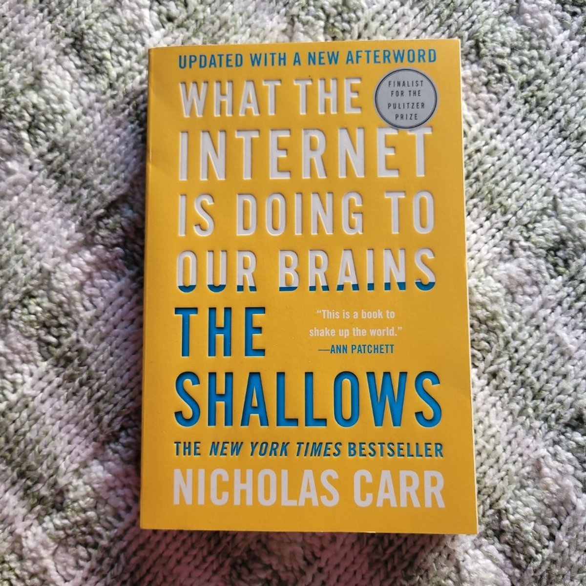 The Shallows by Nicholas Carr