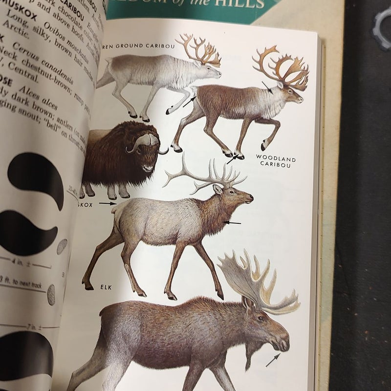 Peterson Field Guide to Mammals of North America by William Henry Burt ...