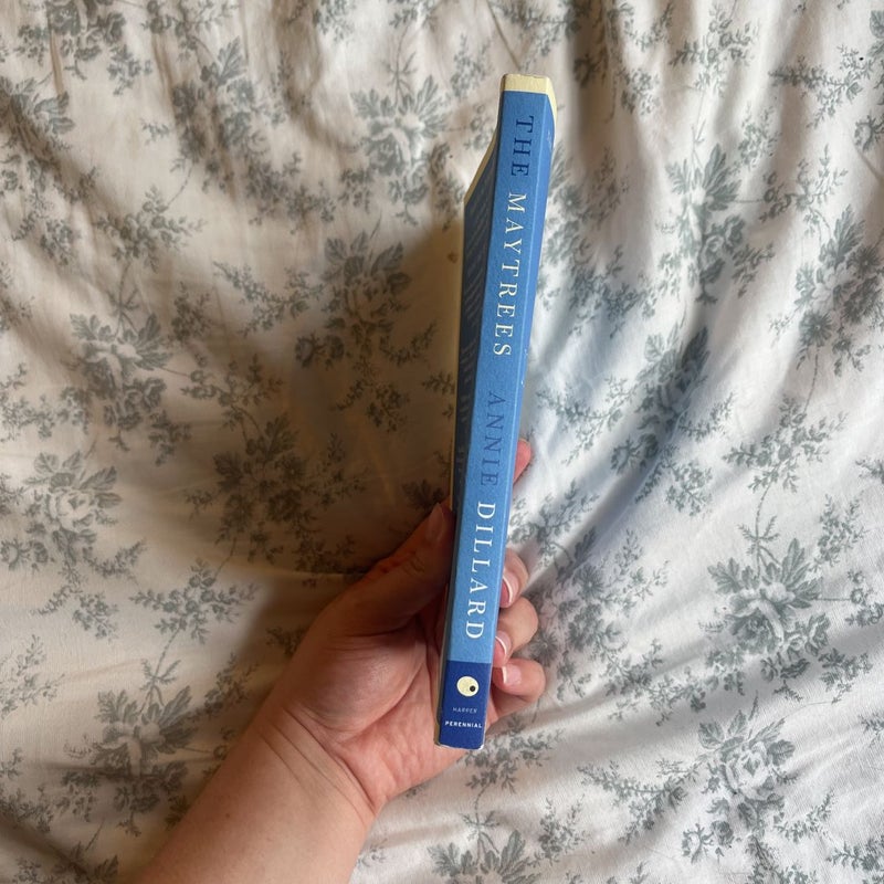 The Maytrees by Annie Dillard