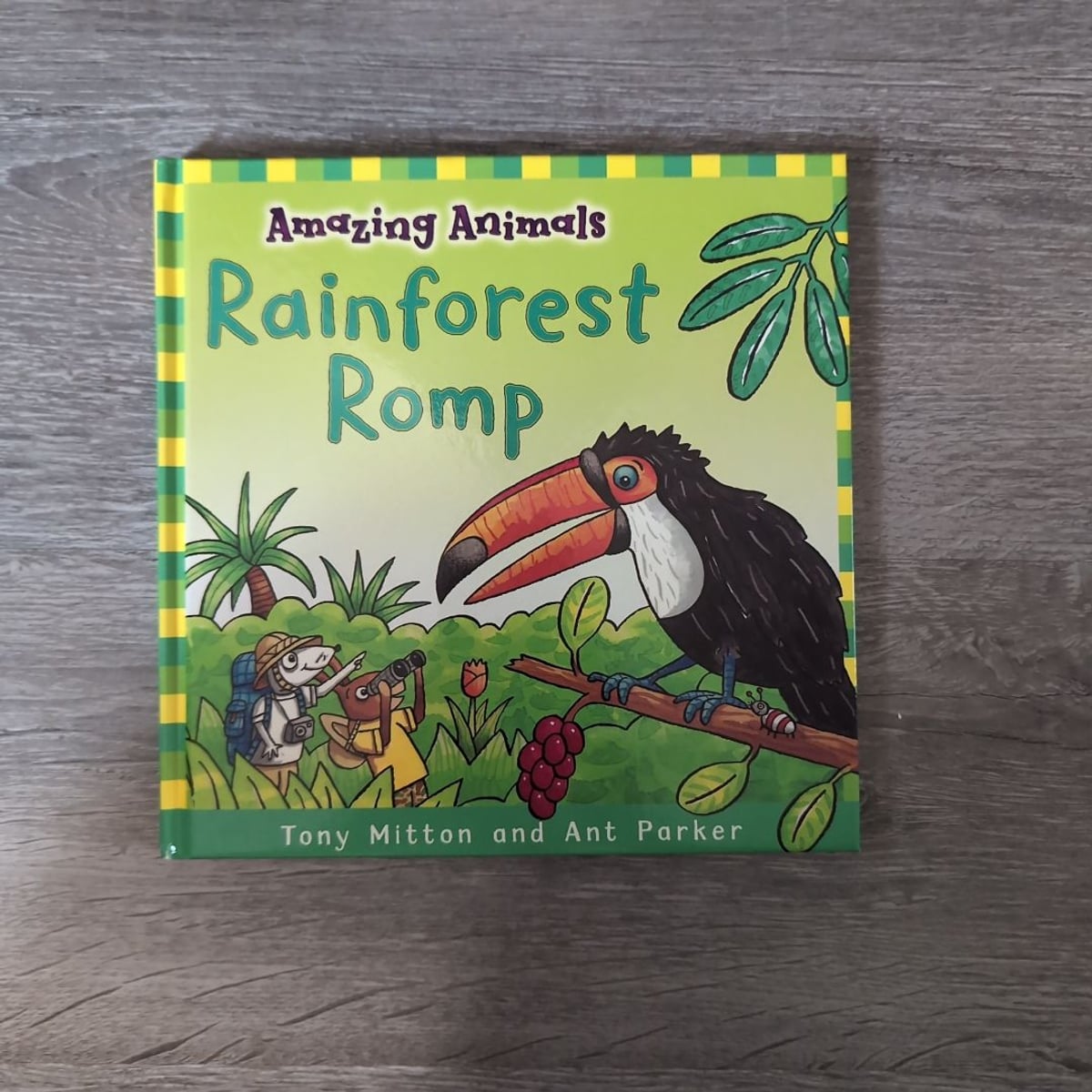 Amazing Animals: Rainforest Romp by Tony Mitton, Ant Parker