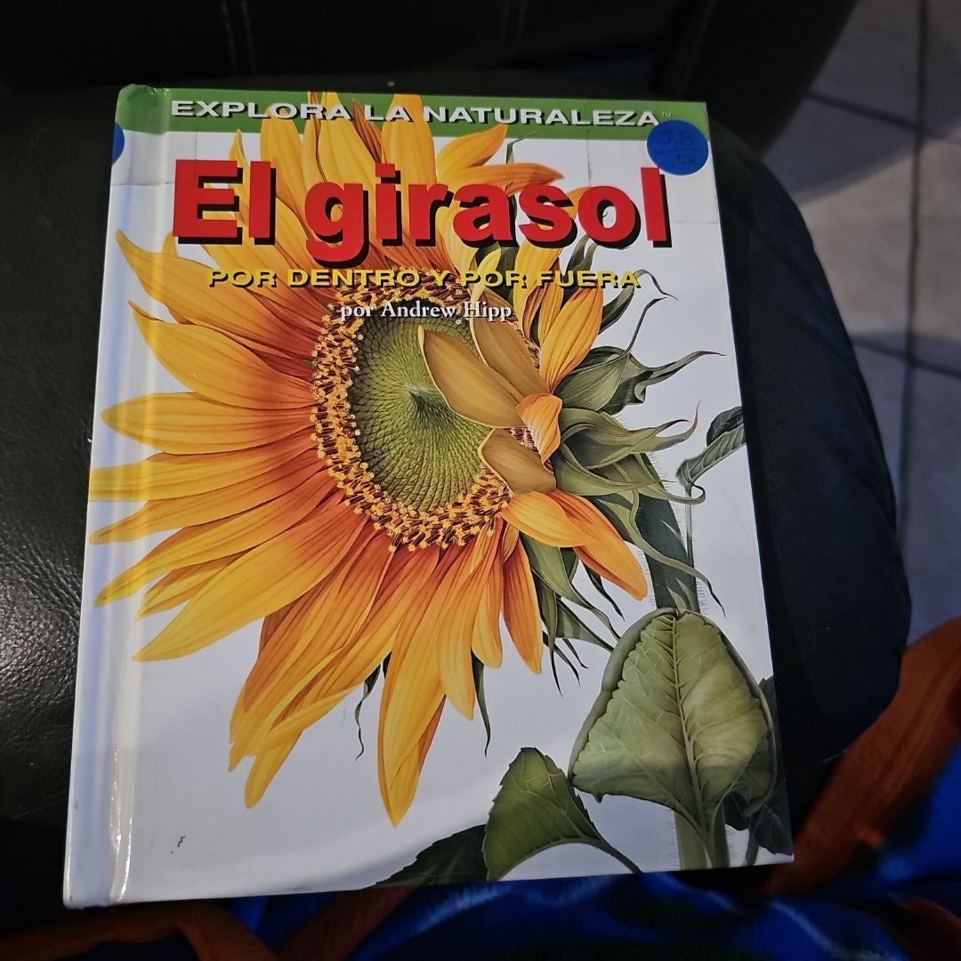 El Girasol by Andrew Hipp, Maria Cristina Brusca