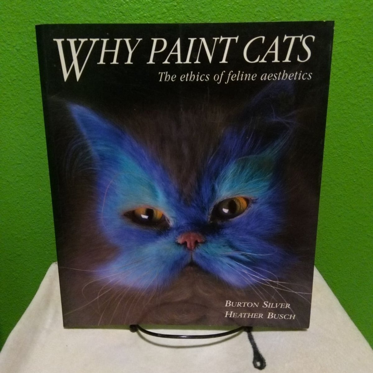 Why Paint Cats by Burton Silver, Heather Busch