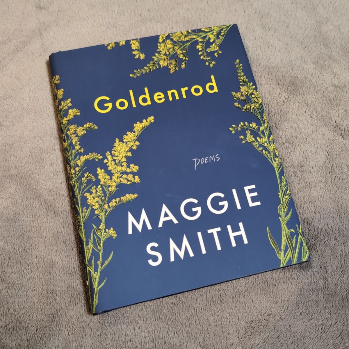 Goldenrod by Maggie Smith