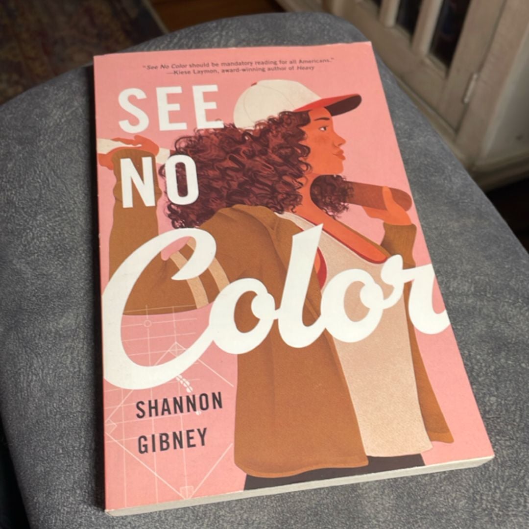 See No Color by Shannon Gibney, Paperback | Pangobooks