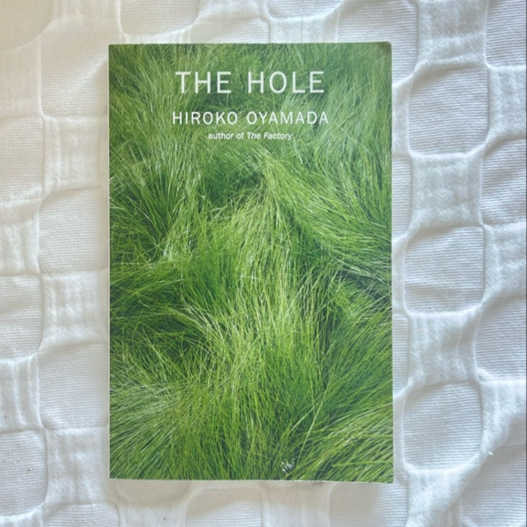 The Hole by Hiroko Oyamada, David Boyd