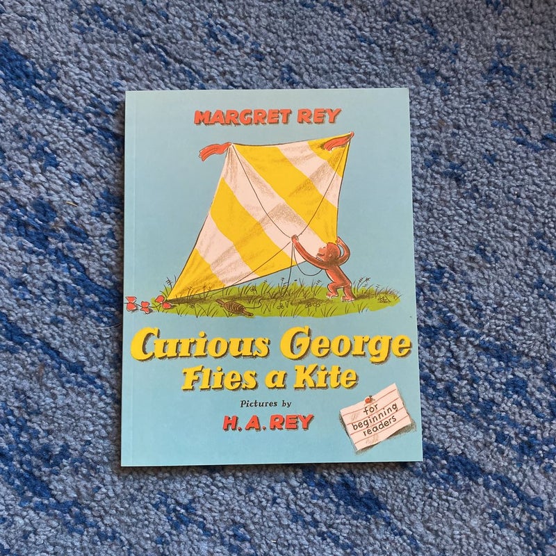 Curious George Flies A Kite