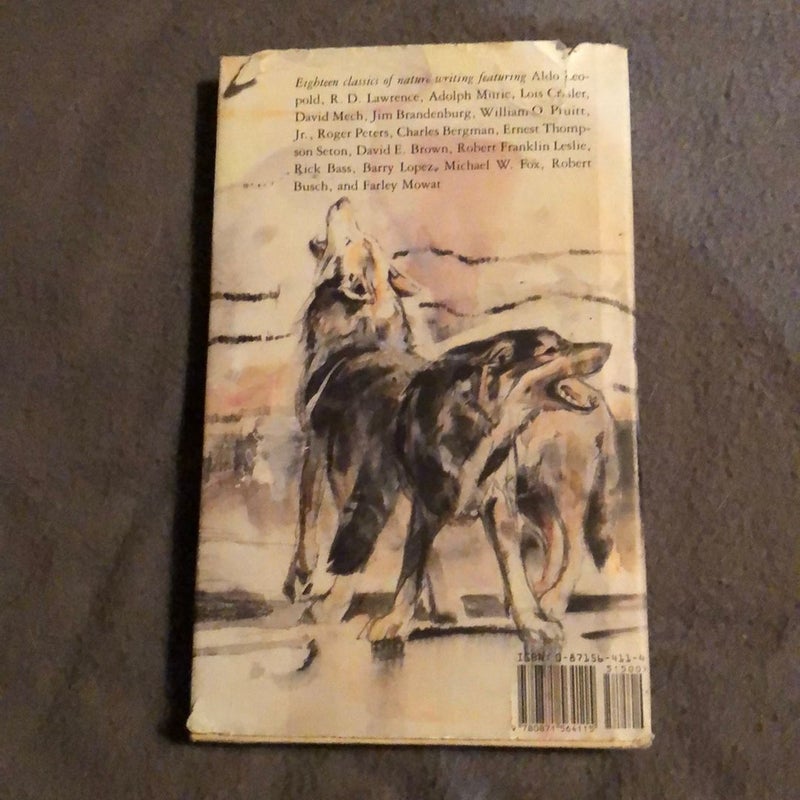 Wolf Songs by Robert Busch, Hardcover | Pangobooks