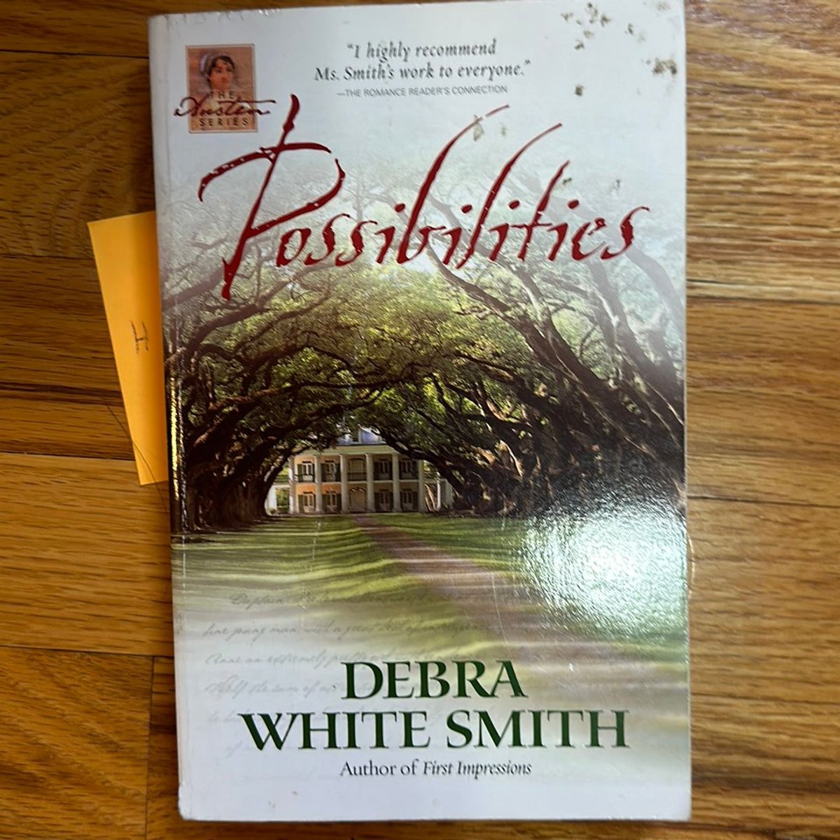 Possibilities by Debra White Smith