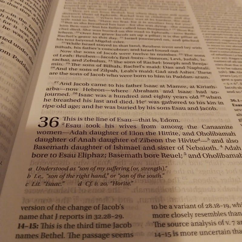 The Jewish Study Bible by Adele Berlin, Hardcover | Pangobooks