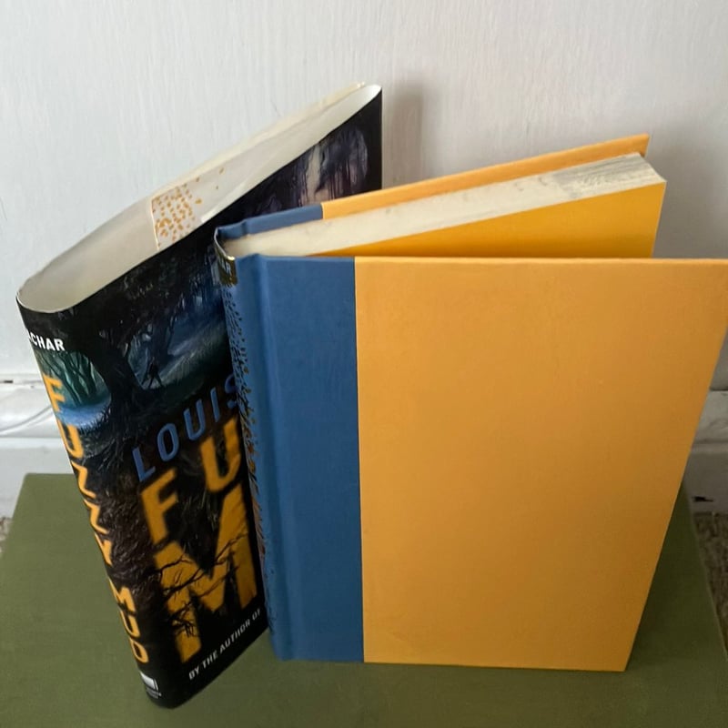 Fuzzy Mud by Louis Sachar