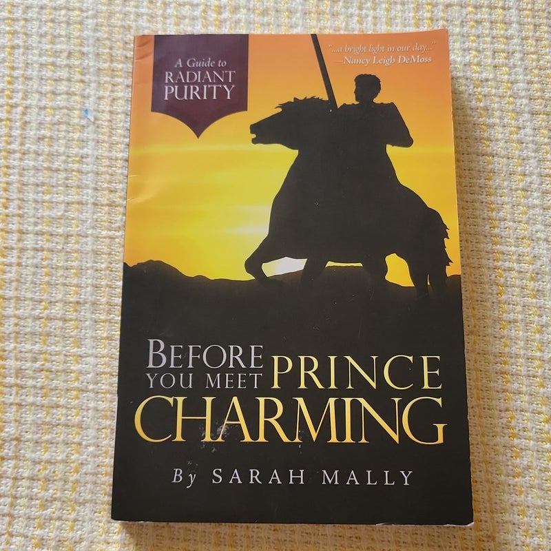 Before You Meet Prince Charming by Sarah Mally, Paperback | Pango Books