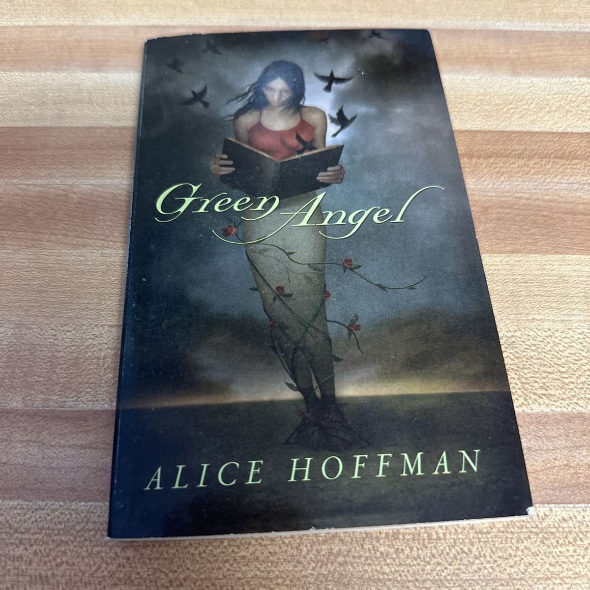 Green Angel by Alice Hoffman, Paperback | Pangobooks