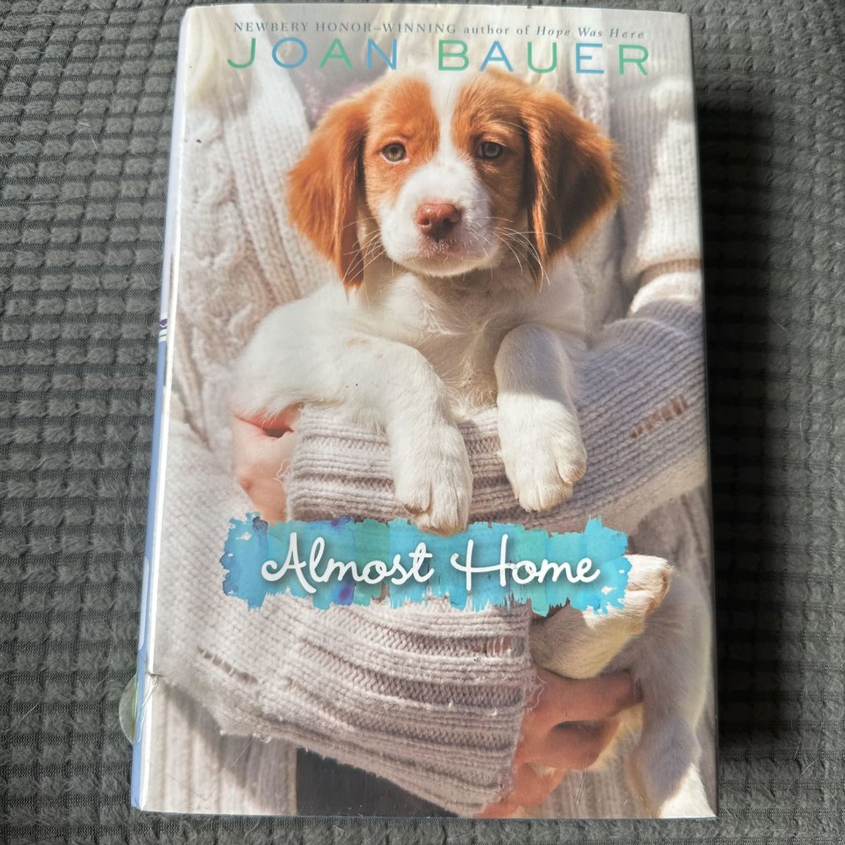 Almost Home by Joan Bauer