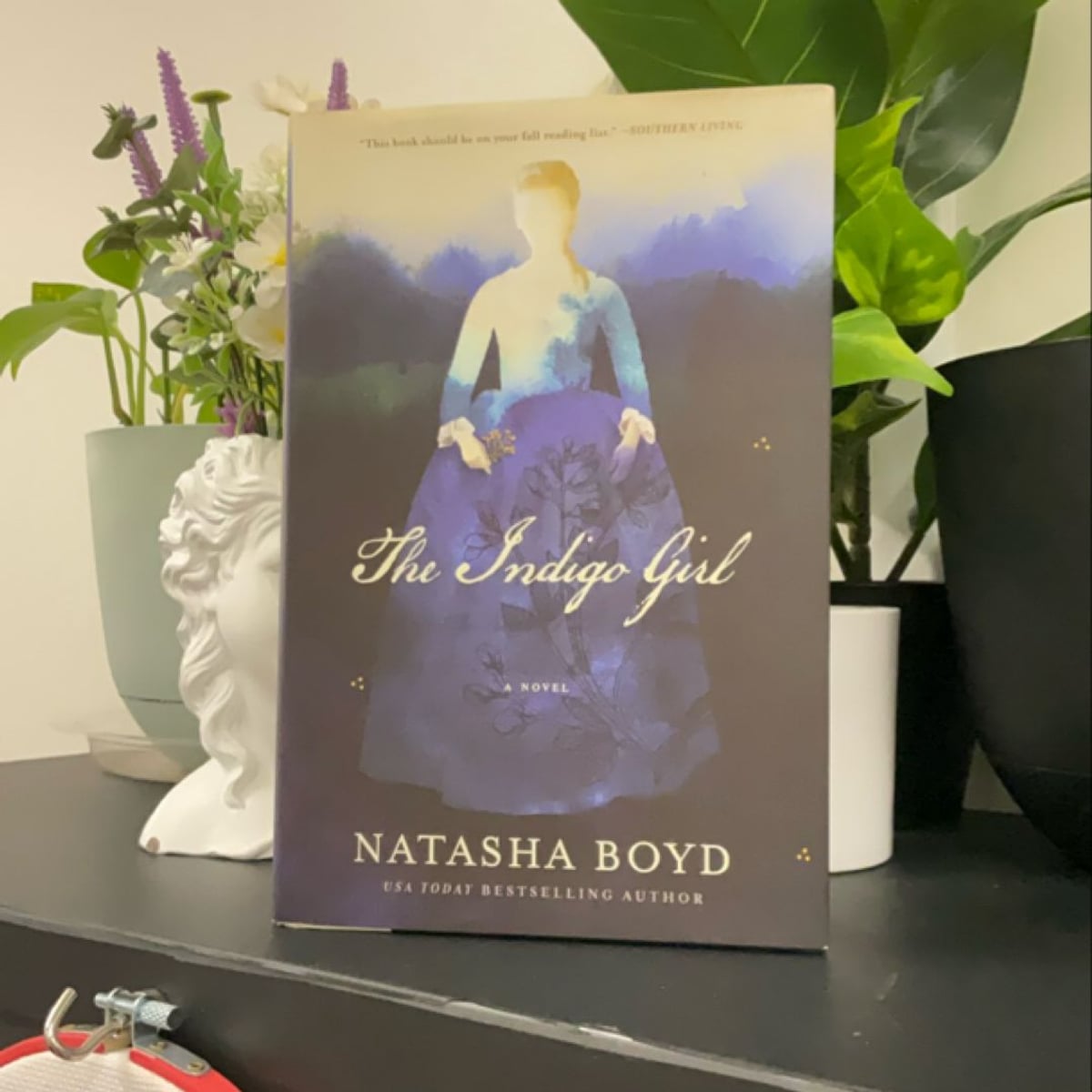 The Indigo Girl by Natasha Boyd, Saskia Maarleveld