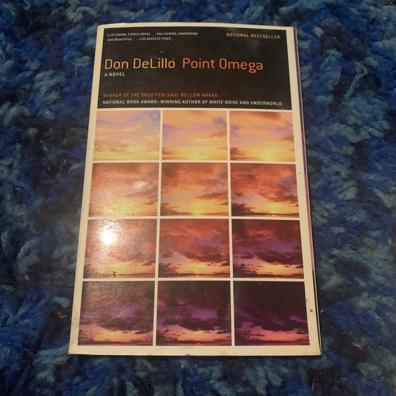 Point Omega by Don DeLillo