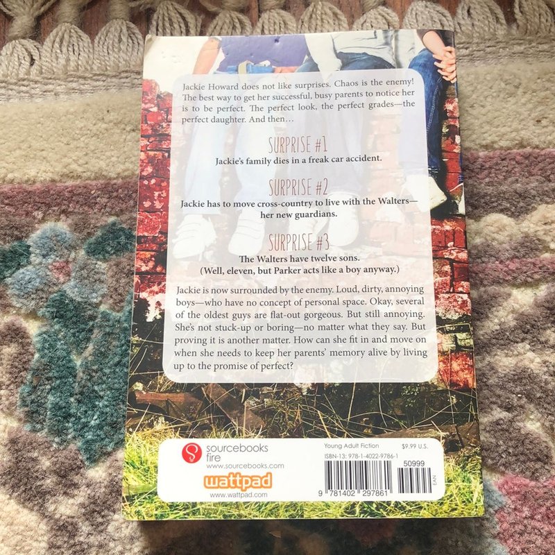 My Life with the Walter Boys by Ali Novak, Paperback | Pangobooks