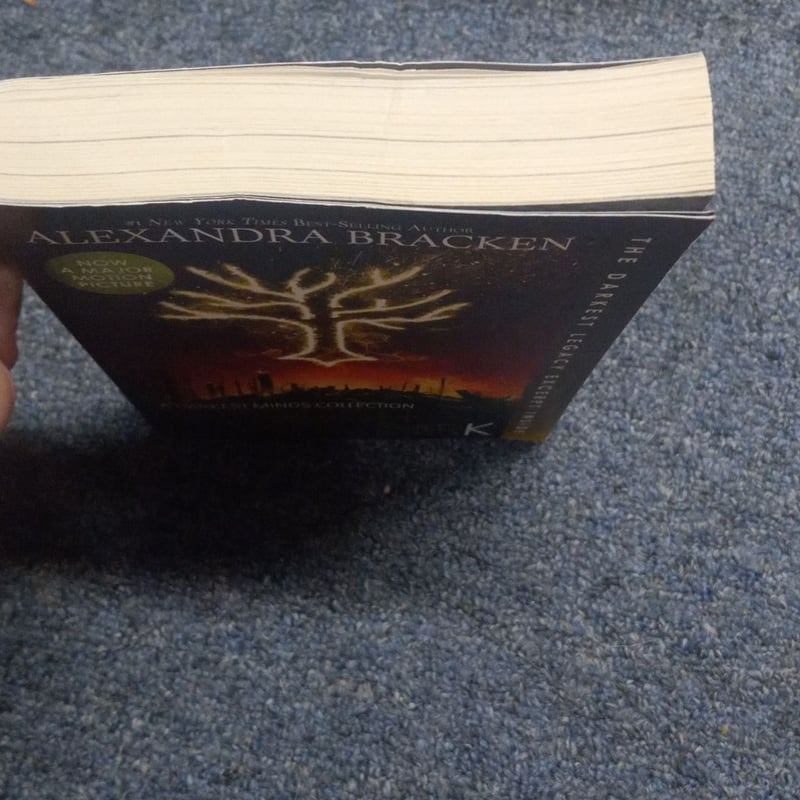 Through The Dark by Alexandra Bracken, Paperback | Pangobooks