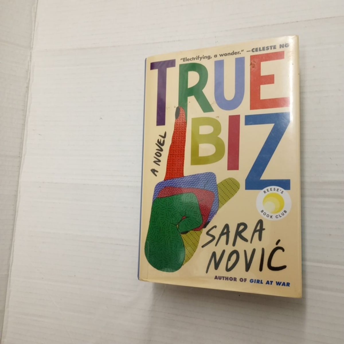 True Biz by Sara Novic