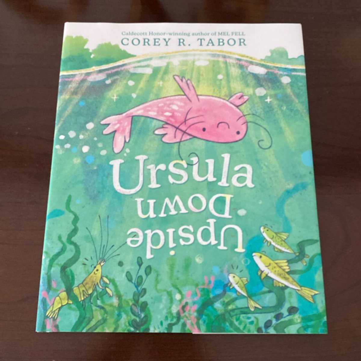 Ursula Upside Down by Corey R. Tabor