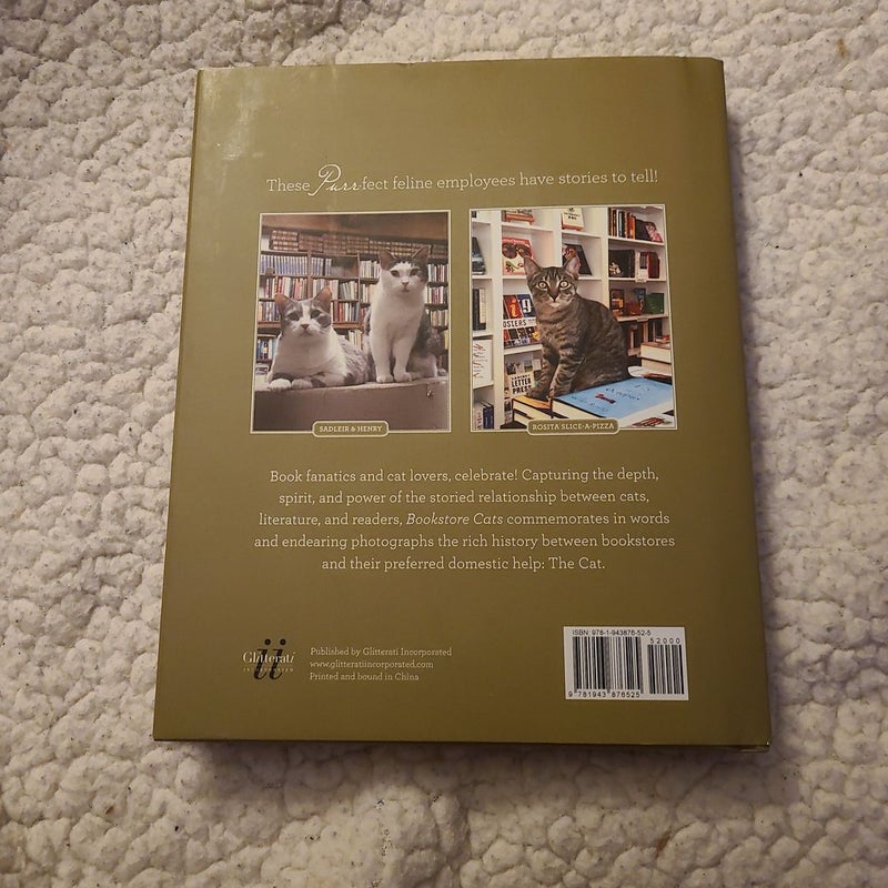 Bookstore Cats by Brandon Schultz, Hardcover | Pangobooks
