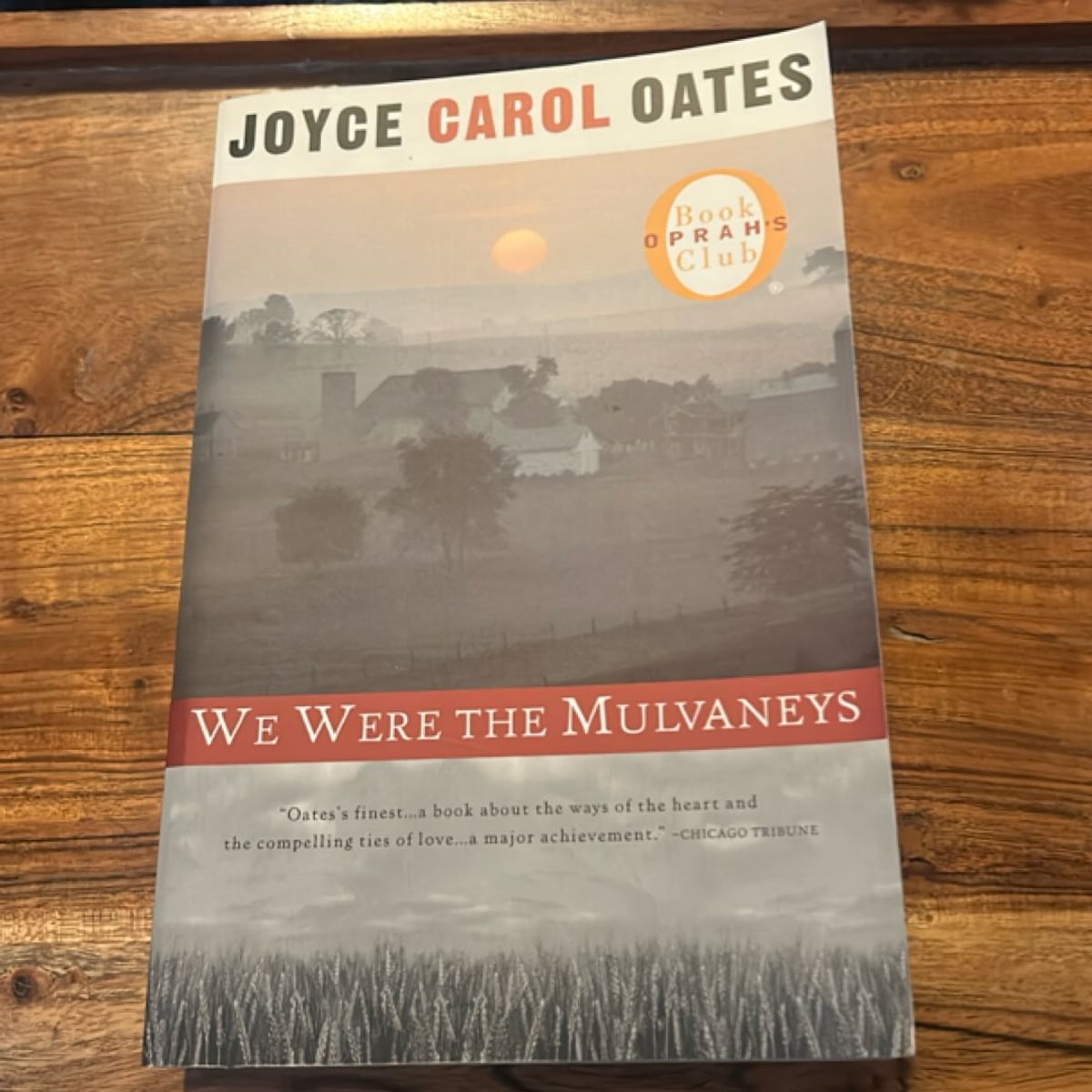 We Were the Mulvaneys by Joyce Carol Oates, Paperback | Pangobooks