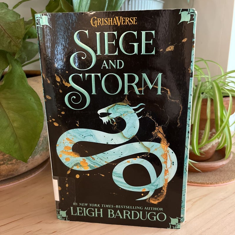 Siege and Storm by Leigh Bardugo, Paperback | Pangobooks