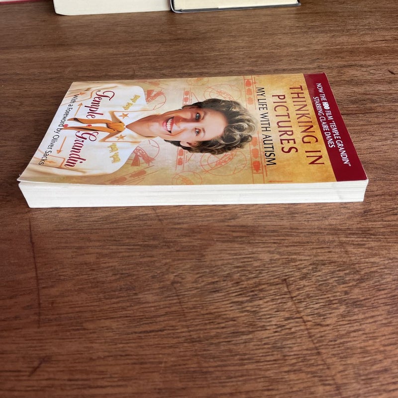 Thinking in Pictures