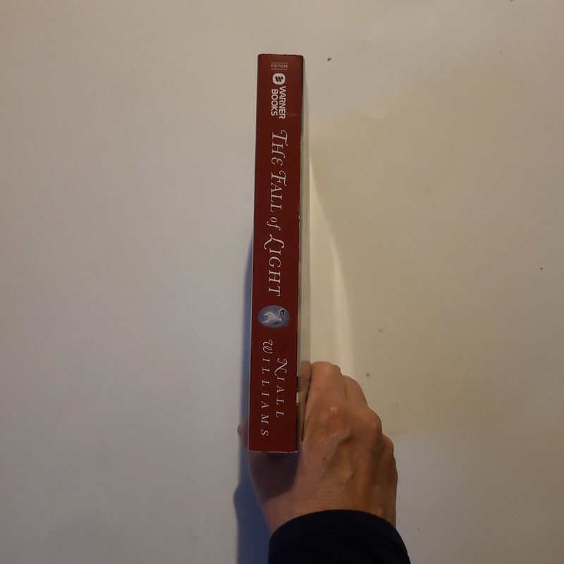 The Fall of Light by Niall Williams