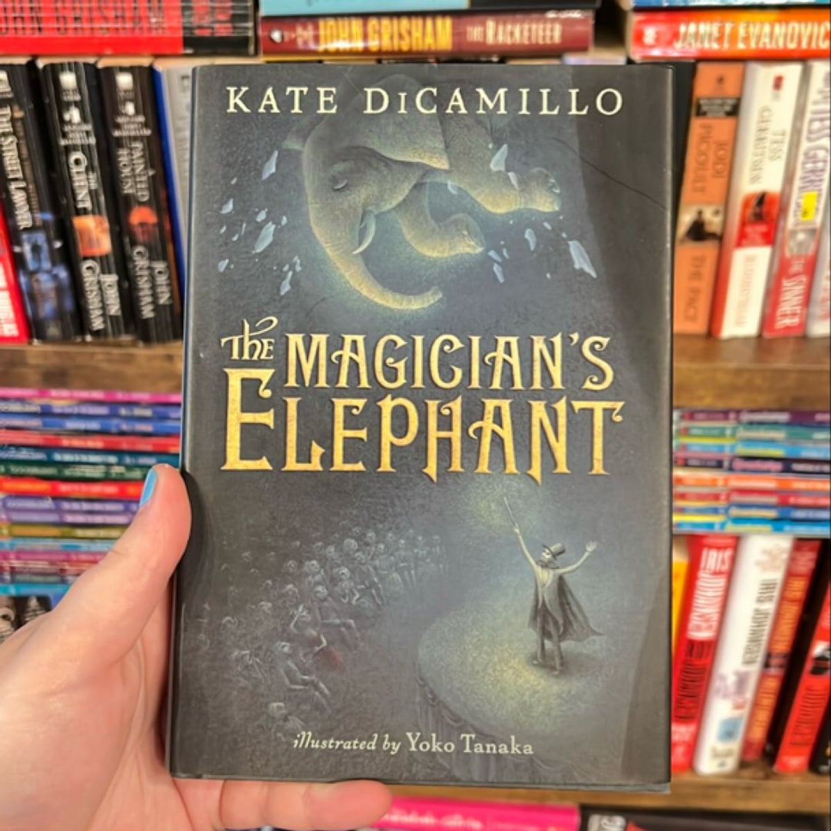The Magician's Elephant by Kate DiCamillo, Hardcover | Pangobooks