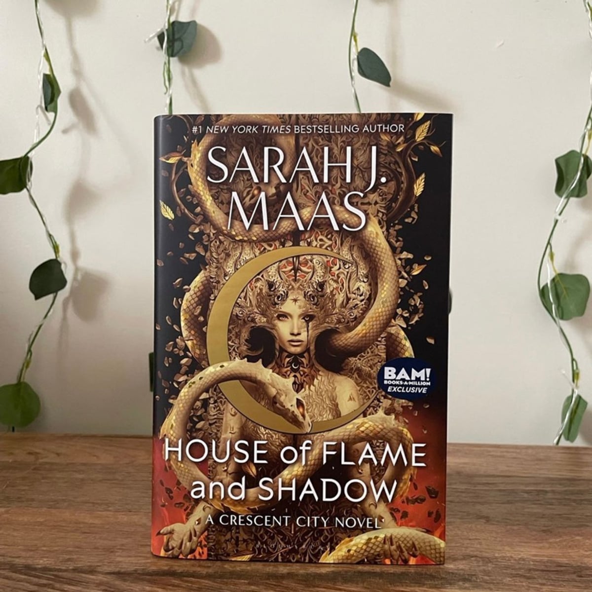 House of Flame and Shadow BAM exclusive by Sarah J Maas, Hardcover ...
