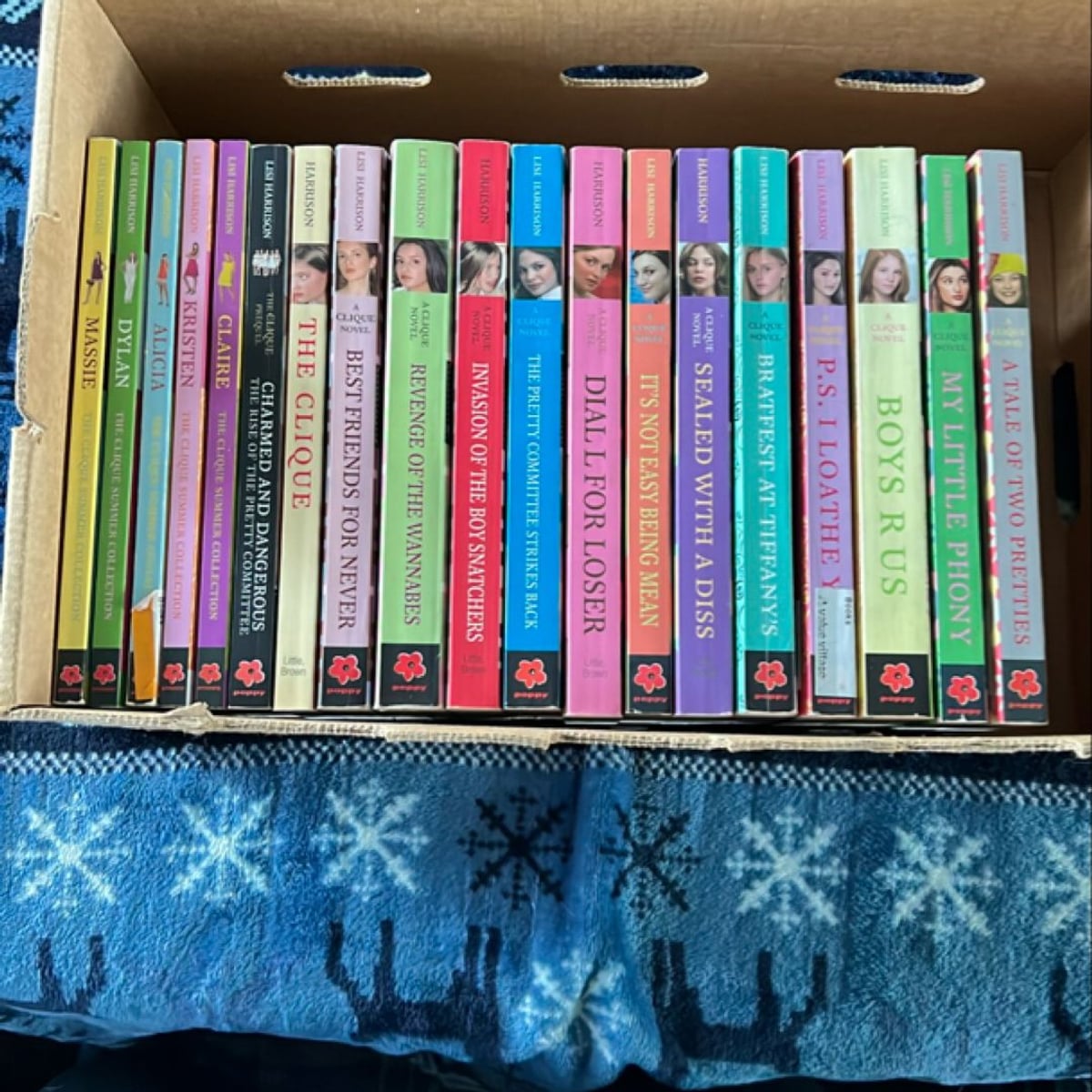 💥 The Clique Summer Collection & The Clique Collection (19 total books ...