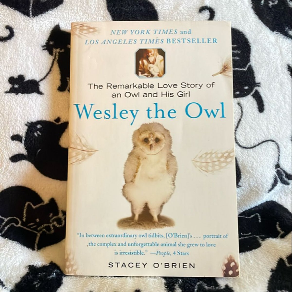Wesley the Owl by Stacey O'Brien