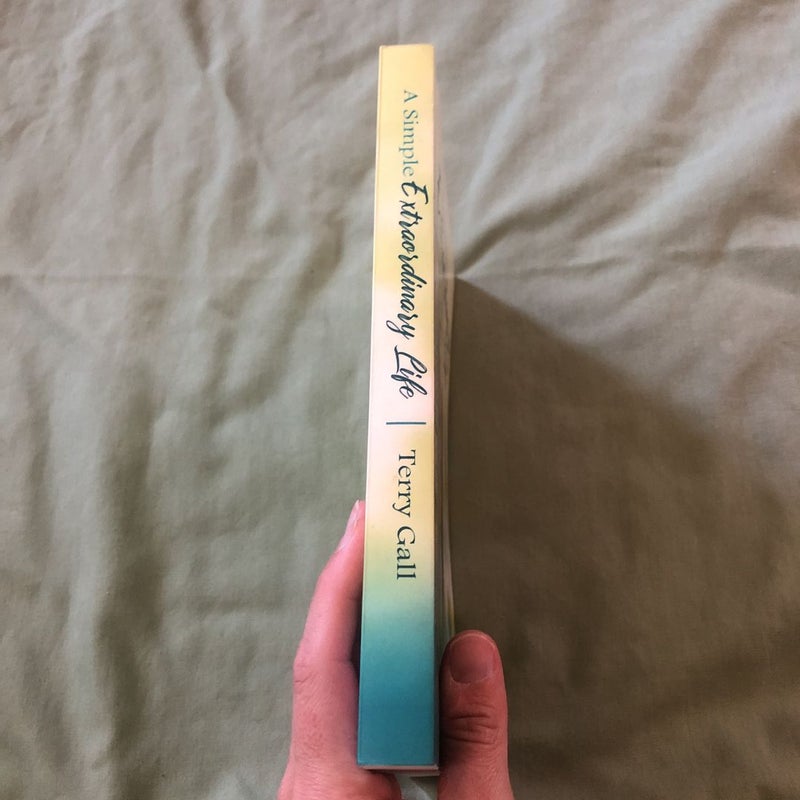 A Simple Extraordinary Life by Terry Gall, Paperback | Pangobooks
