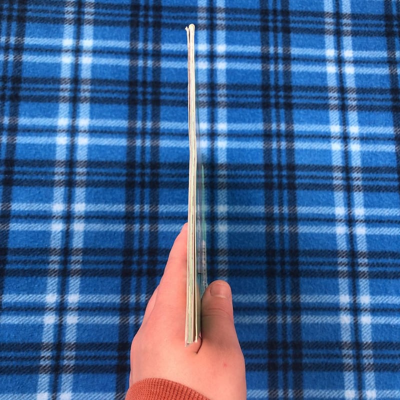 Tiger Is a Scaredy Cat by Joan Phillips